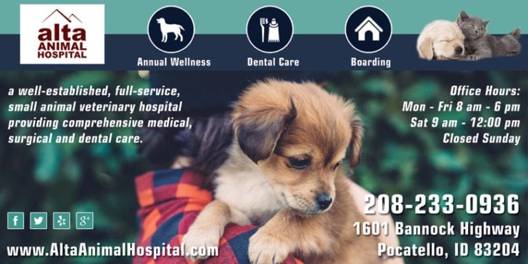 Veterinary Archives - Spring Hill Press